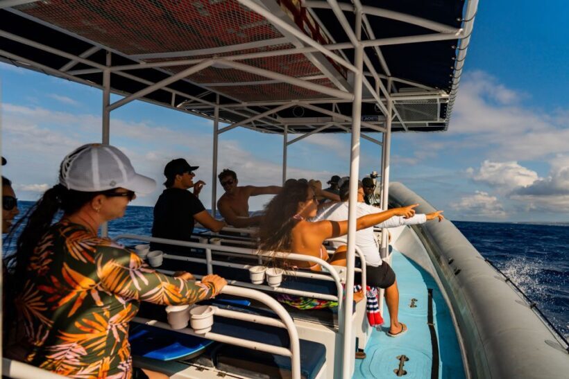 Kailua-Kona: Big Island Morning Snorkeling Tour with Lunch - Frequently Asked Questions