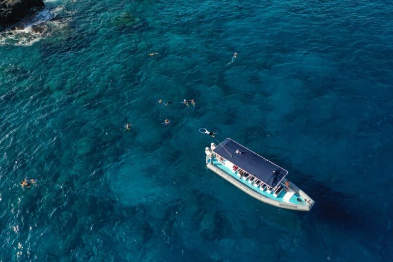 Kailua-Kona: Big Island Morning Snorkeling Tour with Lunch - Why This Tour Offers Good Value