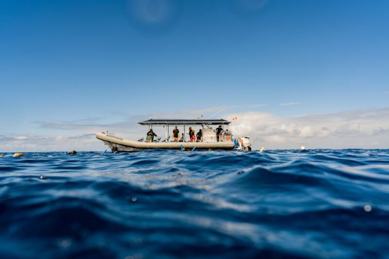 Kailua-Kona: Big Island Morning Snorkeling Tour with Lunch - FAQ