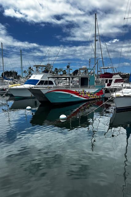 Kailua-Kona: Captain Cook Reef Catamaran Day Trip with Lunch - An In-Depth Look at the Tour