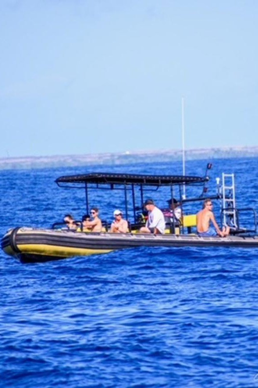 Kailua-Kona: Kealakekua Bay and Captain Cook Monument Tour - Pricing and Value