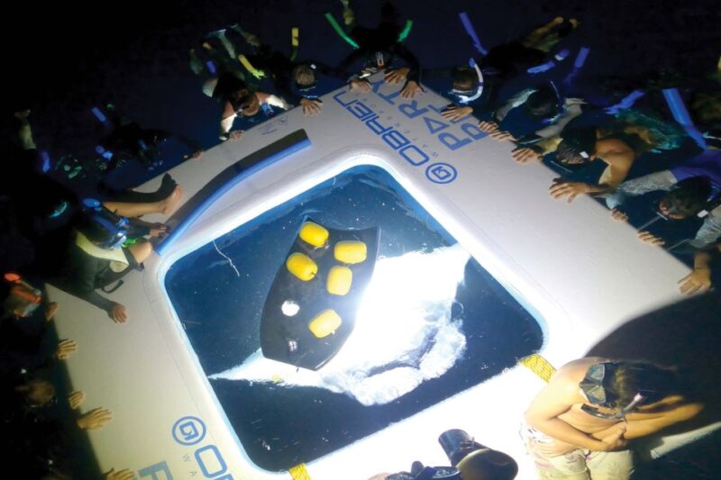 Kailua-Kona: Manta Ray Snorkeling with Hot Cocoa - Key Points