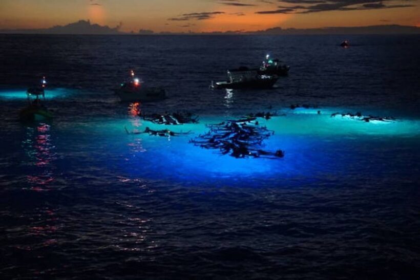 Kailua-Kona: Manta Ray Watching Nighttime Boat Trip - Who This Tour Is Perfect For