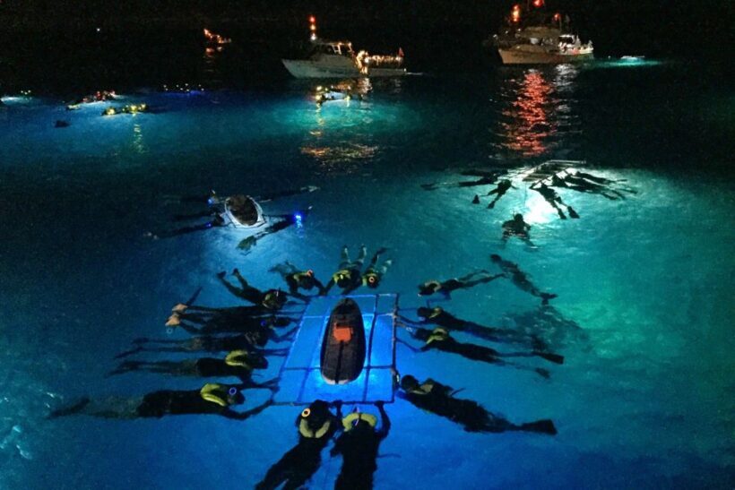 Kailua Kona: Night Manta Ray Adventure on the Big Island - Key Points