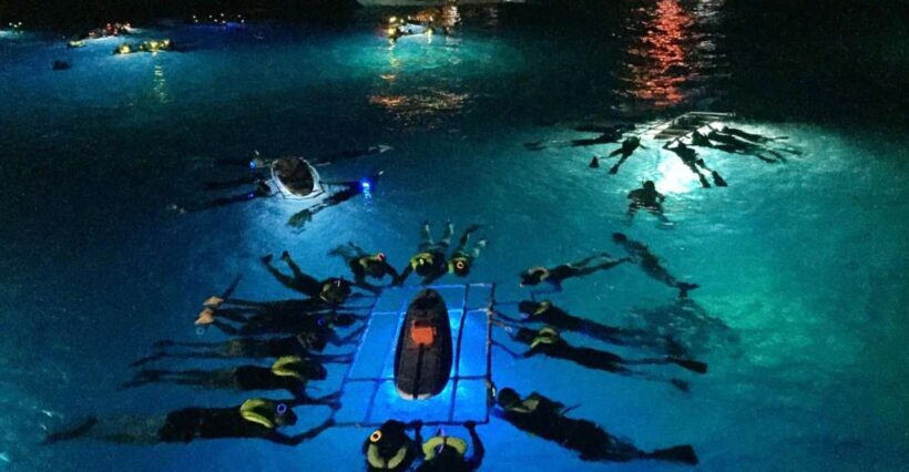 Kailua Kona: Night Manta Ray Adventure on the Big Island - The Experience: What to Expect on the Tour