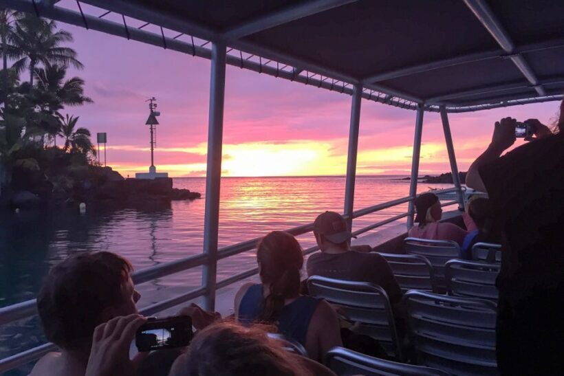 Kailua Kona: Night Manta Ray Adventure on the Big Island - The Bottom Line