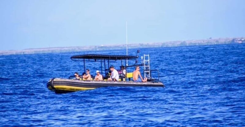 Kailua-Kona: Private Marine Charter Adventure - The Itinerary: Flexibility and Focus on Marine Life
