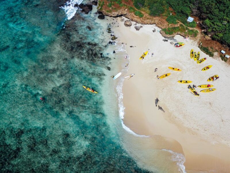Kailua: Mokulua Islands Guided Kayak and Snorkeling Tour - Authentic Reviews and What Travelers Say