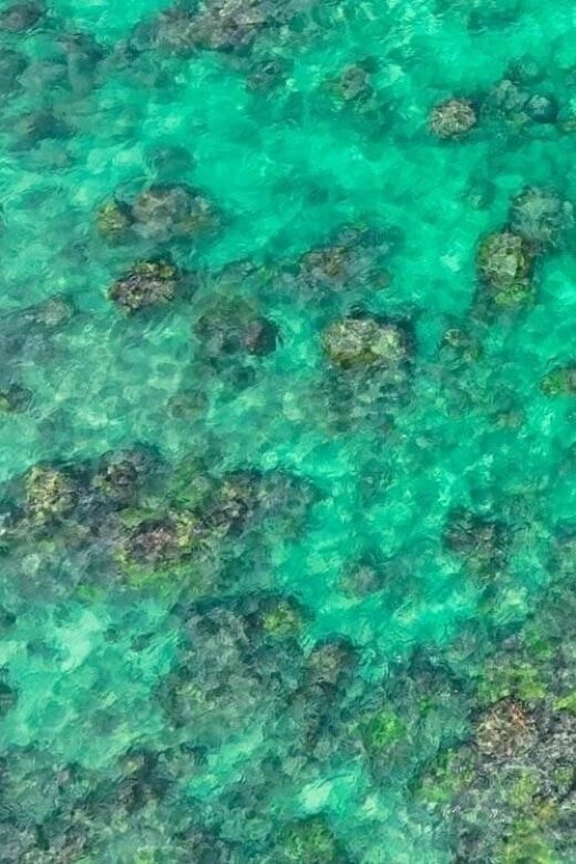 Kailua, Oahu: Guided E-Bike & Kayak Tour to Mokulua Islands - A Closer Look at the Tour Itinerary