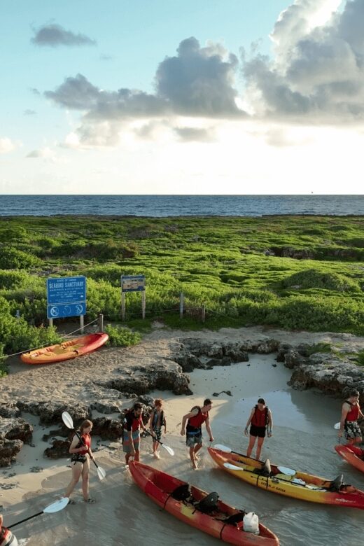 Kailua, Oahu: Popoia Island & Kailua Bay Guided Kayak Tour - An In-Depth Look at the Kailua Kayak Tour Experience