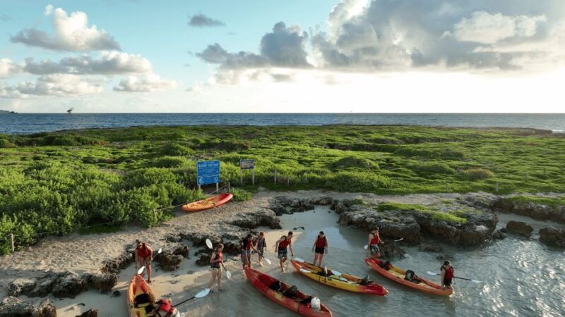 Kailua, Oahu: Popoia Island & Kailua Bay Guided Kayak Tour - The Practicalities: What to Know Before You Go