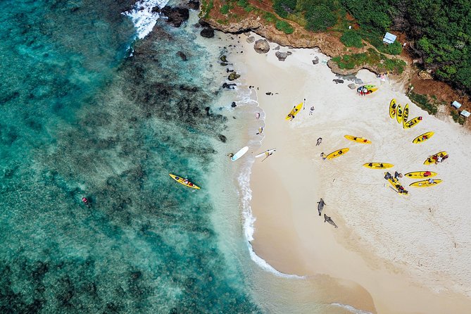 Kailua Twin Islands Guided Kayak Tour, Oahu - The Value of This Tour: Price and Experience