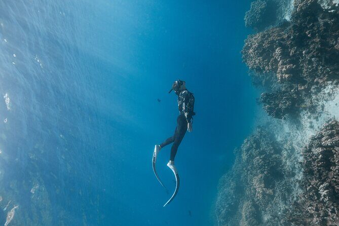 Kaimana Kealakekua Bay Captain Cook Adventure - The marine ecosystem and educational value