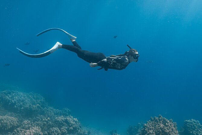 Kaimana Kealakekua Bay Captain Cook Adventure - The importance of flexible cancellation policies