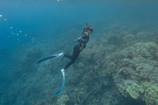 Kaimana Kealakekua Bay Captain Cook Adventure - What travelers are saying