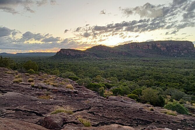 Kakadu Day Tour-Yellow Water-Nourlangie-Ubirr-Cahills-Fogg Dam - Starting Early: Fogg Dam Conservation Reserve