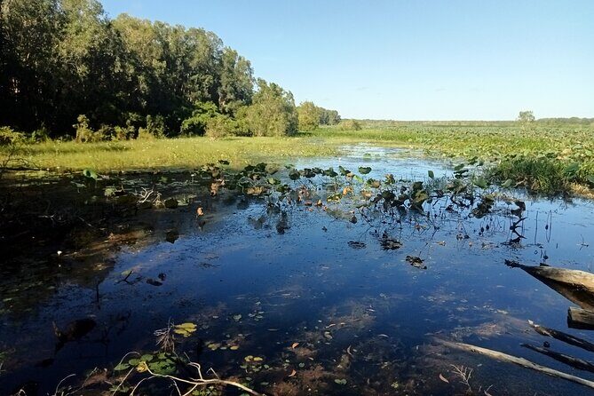 Kakadu Day Tour-Yellow Water-Nourlangie-Ubirr-Cahills-Fogg Dam - The Practicalities: Transportation, Timing, and Value