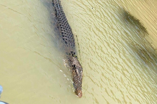 Kakadu National Park Scenic Flight &Yellow Water Cruise - The Value of This Tour