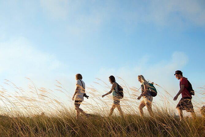 Kakadu National Park Wildlife & Ubirr Rock Art Tour from Darwin - What We Love About This Tour