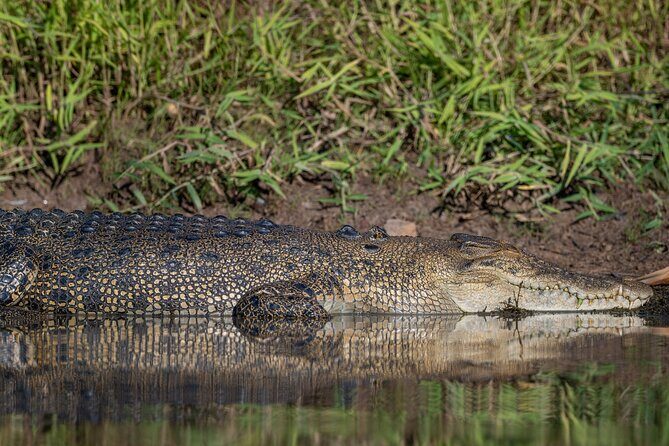 Kakadu National Park Yellow Water Sunset Cruise -Sacred Owl Tours - An In-Depth Look at the Kakadu Yellow Water Sunset Cruise