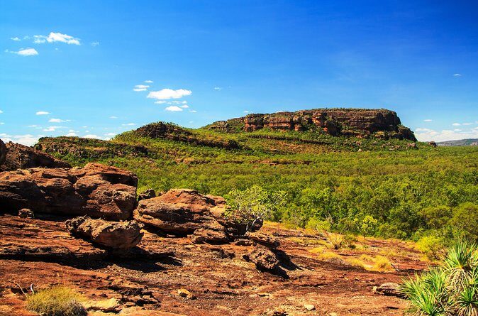 Kakadu, Nourlangie and Yellow Waters Tour from Darwin - Authentic Review Highlights