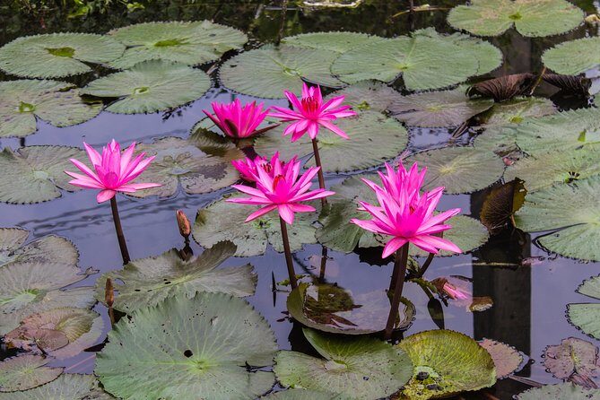 Kakadu, Nourlangie and Yellow Waters Tour from Darwin - Final Verdict