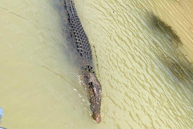 Kakadu Yellow Waters Cruise & Katherine Gorge Helicopter Scenic - What Makes This Tour Stand Out?