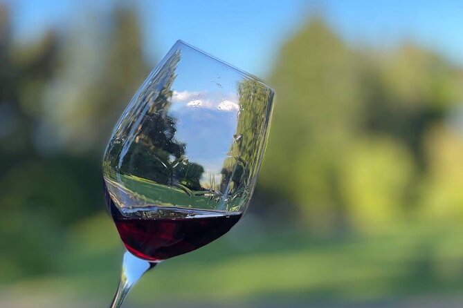 Kakheti.All Inclusive Wine Tour With Family Lunch - Private Wine Tasting Experience