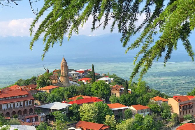 Kakheti and Sighnaghi tour with winetasting - A Practical Look at the Kakheti and Sighnaghi Tour with Winetasting