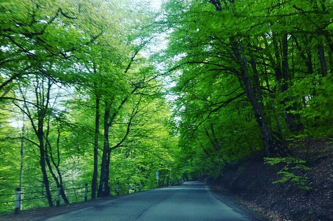 Kakheti Region Khareba Winery Telavi City Gremi Castle Day Tour - The Sum Up: Who Should Consider This Tour?