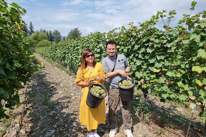 Kakheti - Small Wineries and Family-Cooked Lunch • Private Tour - The Winemaking Tradition