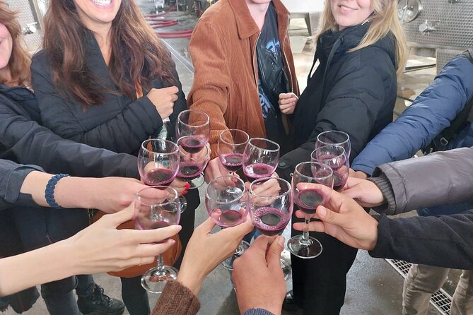 Kakheti Wine Region: Signagi and Bodbe Tour with 8 Wine Tastings - Who Should Consider This Tour?