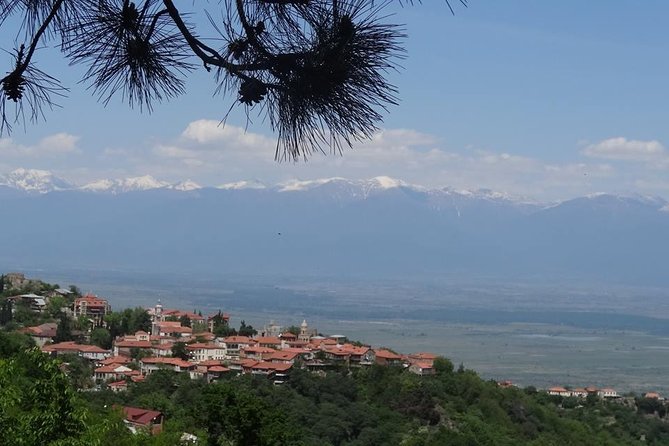 Kakheti wine Tour: Telavi-Kvareli-Signagi and Wine cellars - Key Points