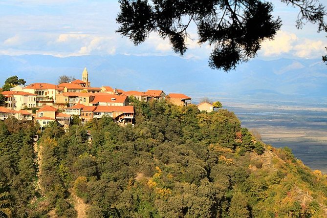 Kakheti wine Tour: Telavi-Kvareli-Signagi and Wine cellars - FAQ