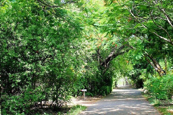 Kalakshetra, Theosophical Society & Elliots Beach - Chennai - Final Thoughts
