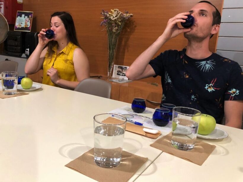 Kalamata, Greece: Organic Olive Grove Tour-Olive oil tasting - In The Sum Up