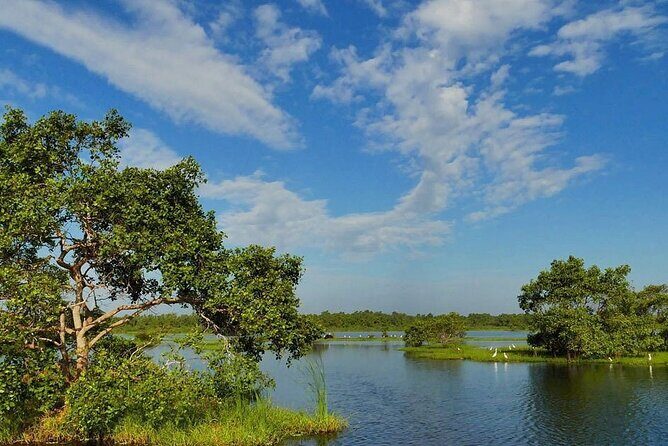 Kalametiya Bird Sanctuary Catamaran Bird Watching Tour - Analyzing the Price and Value