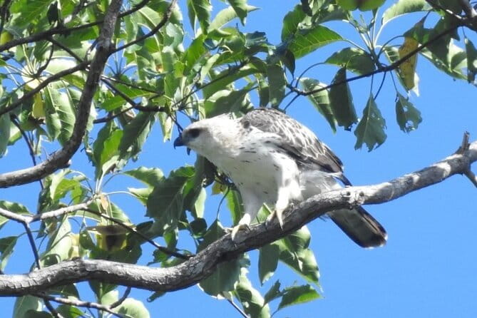 Kalapathar Sunrise, Birdwatching and Village Tour - Who Should Consider This Tour?