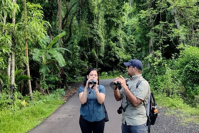 Kalapathar Sunrise, Birdwatching and Village Tour - The Sum Up