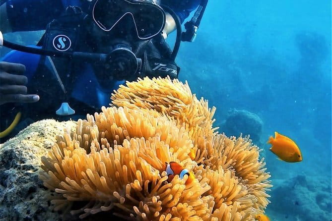 Kalapathar Sunrise, Birdwatching and Village Tour - FAQ: Your Questions Answered