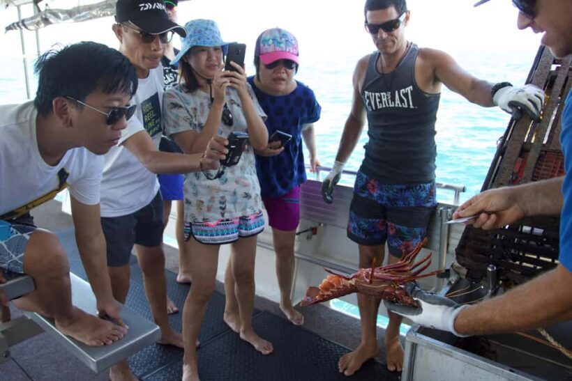 Kalbarri Crayfish Catch & Keep Tour - Why This Tour Is a Great Value