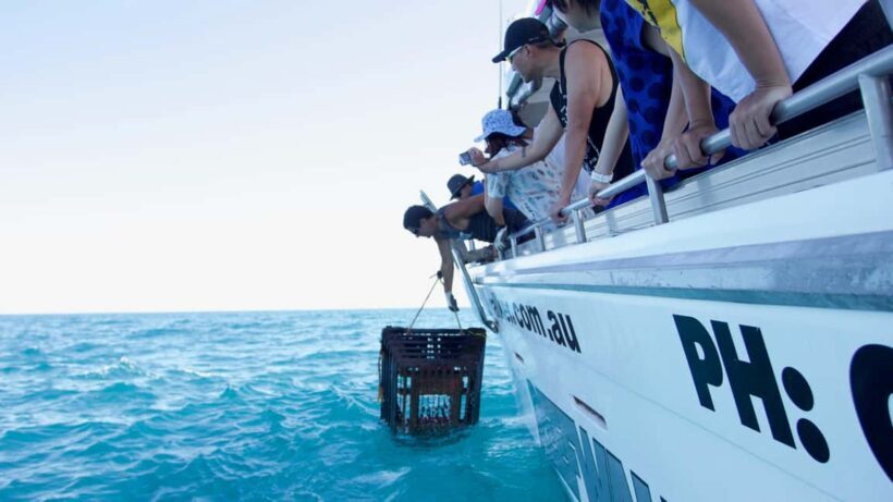 Kalbarri Crayfish Catch & Keep Tour - FAQ about the Kalbarri Crayfish Catch & Keep Tour