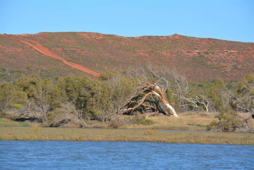 Kalbarri: Murchison River Morning Cruise - Who Will Love This Tour?