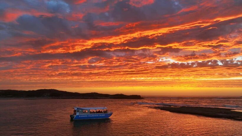Kalbarri: Murchison River Wilderness Wildlife Cruise - Key Points
