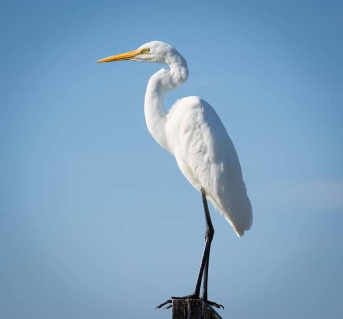 Kalbarri: Murchison River Wilderness Wildlife Cruise - Why This Cruise Is Worth Considering