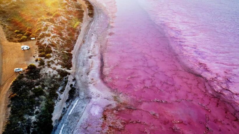 Kalbarri: Pink Lake and Coastal Cliffs Tour - An Overview of the Tour Experience