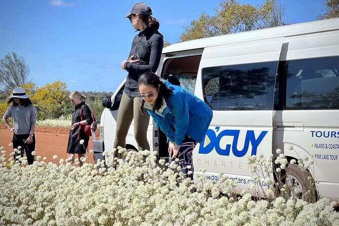 Kalbarri Wildflower Tour - Key Points