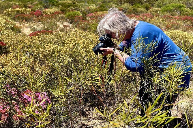 Kalbarri Wildflower Tour - Exploring the Itinerary: What You’ll Encounter
