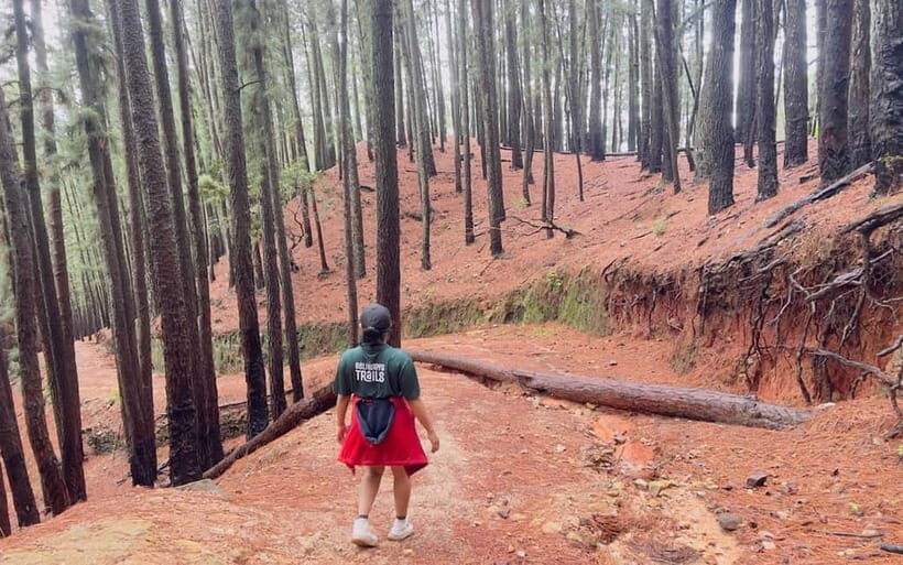 Kalupahana: Wangedigala Hiking Trail Guided Tour - What to Expect on the Trail