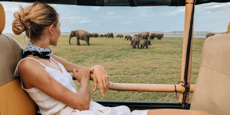 Kalutara/Bentota/Kosgoda/Ahungalla/Hikkaduwa: Yala Safari - The Practicalities: Timing, Duration, and Value